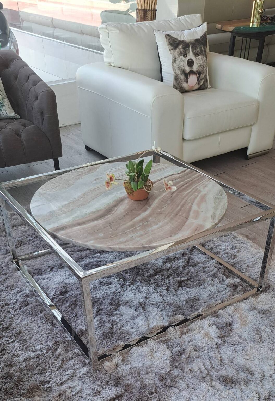 Fierce Coffee Table